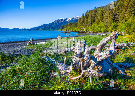Lowell Point on Resurrection Bay on the Kenia Peninsula in Seward ...