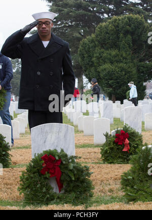 An army officer salutes during a wreath laying ceremony at The Hector ...