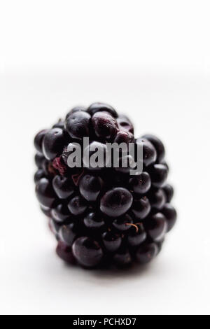 Raw blackberry, caneberry, bramble, isolated on white background Stock ...