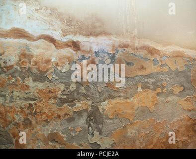 Building wall infected with fungus Stock Photo - Alamy
