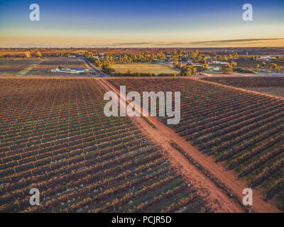 Vineyards of Monash in South Australia at sunset - aerial view Stock ...