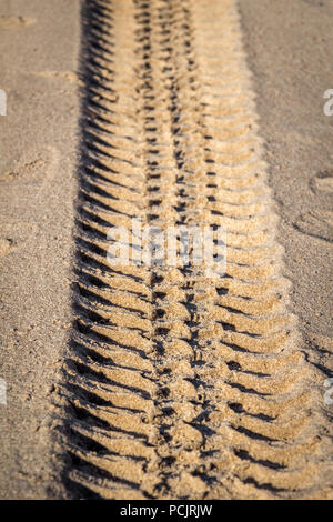 Traces of a car on the sandy river bank in winter Stock Photo - Alamy