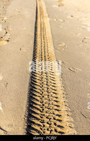 Traces of a car on the sandy river bank in winter Stock Photo - Alamy