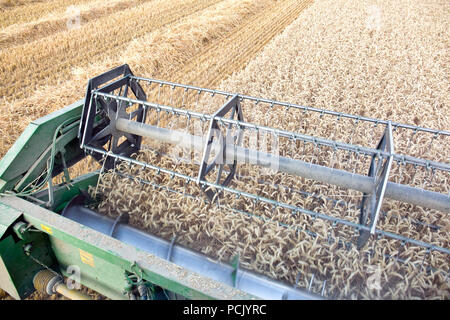 Inside a combine harvester Stock Photo - Alamy