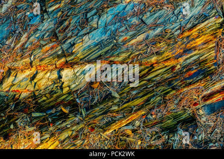 colored rocks and pine needles Stock Photo - Alamy