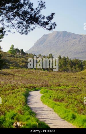 Slioch Mountain of Torridonian Sandstone. Kinlochewe, Torridon ...