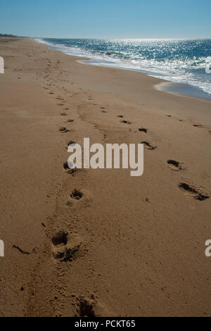 East Beach, Ninigret Conservation Area, Rhode Island Stock Photo - Alamy
