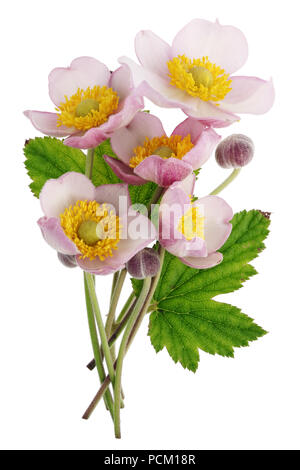 Closeup shot of a yellow wildflower bouquet Stock Photo - Alamy