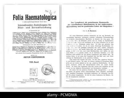 Alexander A. Maximow 1909 Stock Photo - Alamy