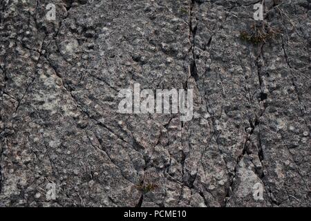 Basal Quartzite 'Pipe Rock', Skolithos Burrows Trace Fossils. Natural ...