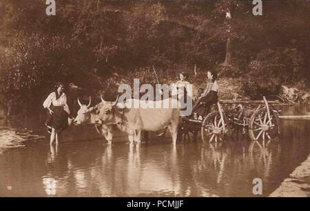 Alexandru Bellu Photography taken by him Nr 1 Stock Photo - Alamy