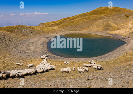 Panoramic view of Gistova lake, the highest alpine lake of Greece on ...
