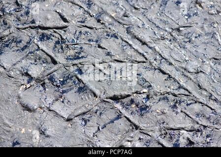 Heatwave: rising temperatures melt the tar macadam surface of the road ...