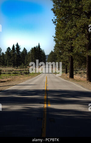 Single lane mountain road lined with trees The road is wet from rain ...