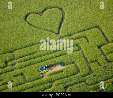 Aerial view of a heart-shaped field, agriculture with heart, Trittau ...