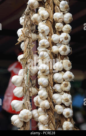 Strings of Garlic or Cloves of Garlic, Allium sativum, on Display on a ...