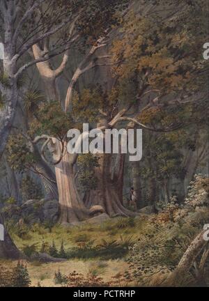 Burial place of Hone Heke, Bay of Islands 1883 by Alfred Sharpe Stock ...