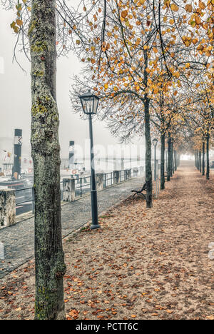 Marc-Aurel-Ufer, waterfront, autumn, Regensburg, Upper Palatinate ...