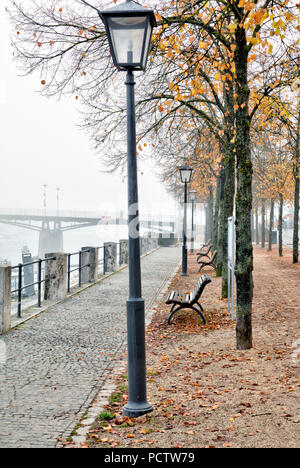 Marc-Aurel-Ufer, autumn, fog, Regensburg, Upper Palatinate, Bavaria ...