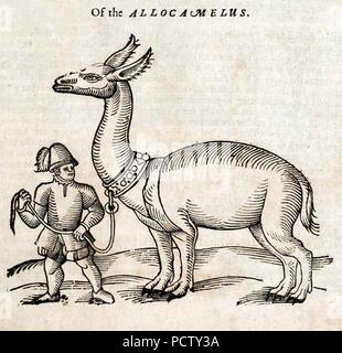 The History of Four-Footed Beasts and Serpents 1658 Stock Photo - Alamy