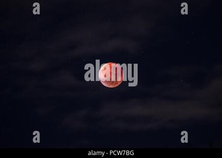 Cannabis, also known as marijuana among other names, is a psychoactive ...