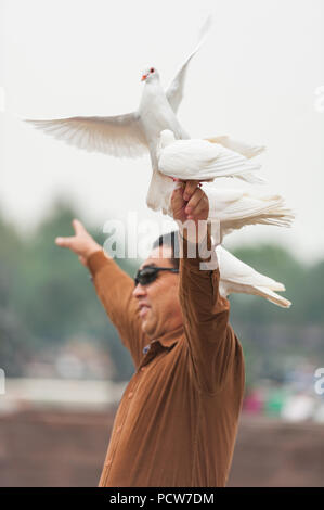 sacred white dove spread its wings in the sky Stock Photo - Alamy