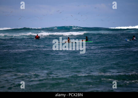 Kanu-Paddler an Wellen im Pazifischen Ozean, Port Campbell, Port ...