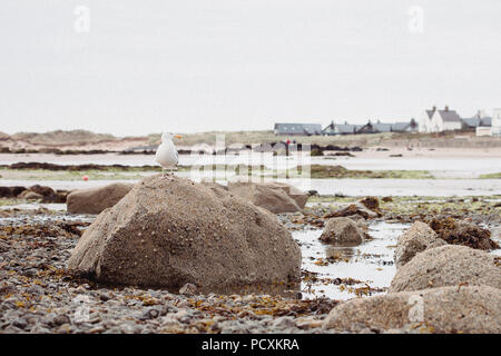 View of Broad Beach, Rhosneigr, Anglesey Stock Photo - Alamy