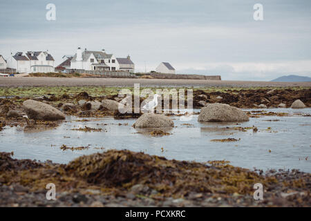 View of Broad Beach, Rhosneigr, Anglesey Stock Photo - Alamy