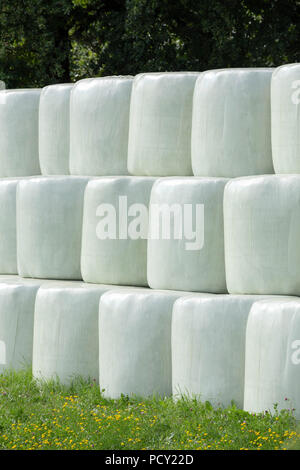 Stack of plastic wrapped round hay bales outdoors in snow protected ...