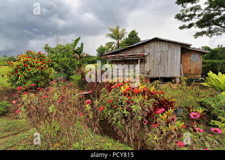 Filipino vernacular architecture-wood and bamboo granary raised up on ...