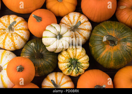 Many various pumpkins background, Halloween or Thanksgiving day concept ...