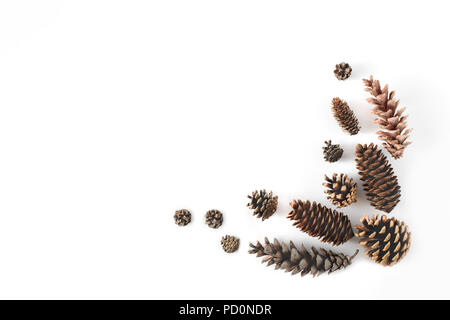 Frame made of cones various coniferous trees isolated on white, view ...