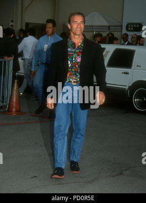 BURBANK, CA - JUNE 5: Actor Arnold Schwarzenegger attends the First ...