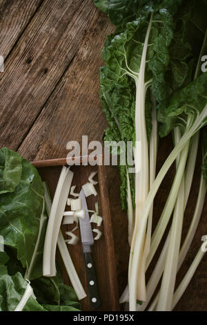 Beta vulgaris Lucullus. White stems of Swiss chard 'Lucullus'. UK Stock ...