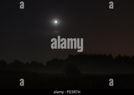 Night sky over forest, visible full eclispse of Moon, Mars in perigee ...