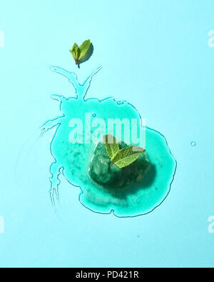 Flat lay of a puddle of melted green mint ice cream with mint leaves on ...