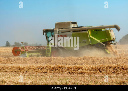 Class Lexion 740 combiner harvester Stock Photo - Alamy