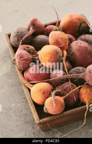 mixed heritage beetroot Stock Photo - Alamy