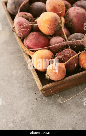 mixed heritage beetroot Stock Photo - Alamy