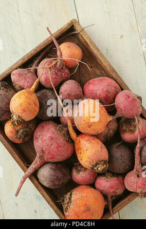 mixed heritage beetroot Stock Photo - Alamy