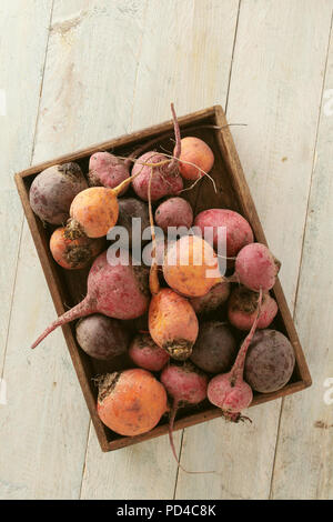 mixed heritage beetroot Stock Photo - Alamy