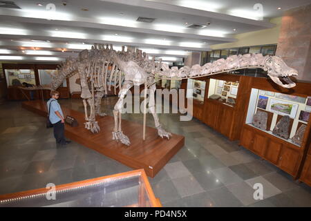 Fossilized Barapasaurus tagorei skeleton, Geology Museum, ISI, Kolkata ...