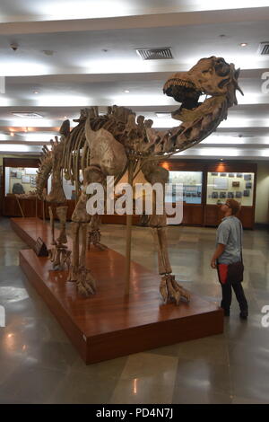 Fossilized Barapasaurus tagorei skeleton, Geology Museum, ISI, Kolkata ...