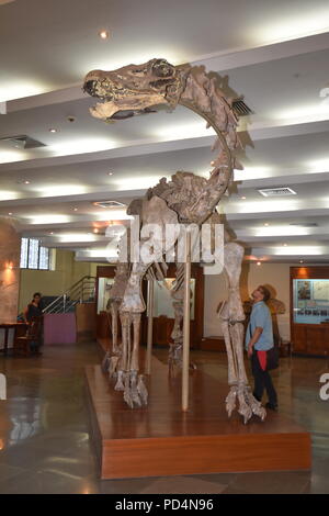 Fossilized Barapasaurus tagorei skeleton, Geology Museum, ISI, Kolkata ...