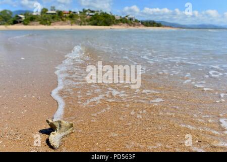 Toomula as seen from beach, Toomulla QLD, Australia Stock Photo - Alamy