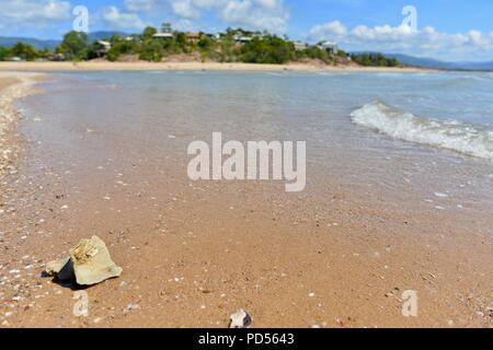 Toomula as seen from beach, Toomulla QLD, Australia Stock Photo - Alamy