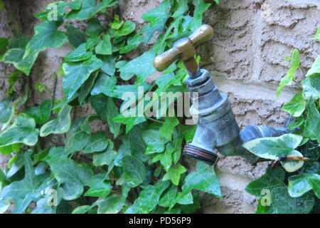 An outdoor garden tap run dry Stock Photo - Alamy