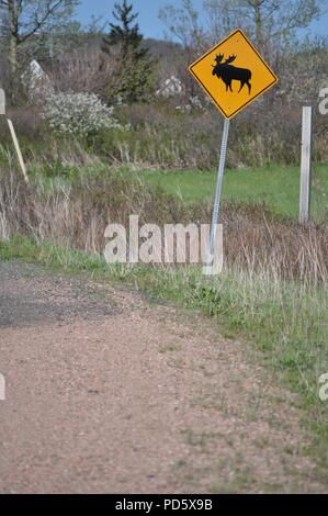 Moose road hazard warning sign on the trans Canada highway in New ...