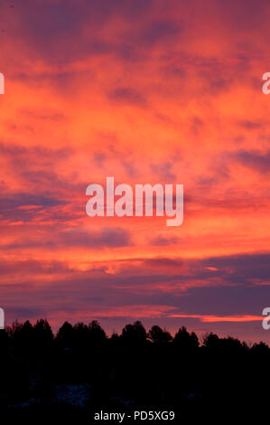 Juniper sunrise, Juniper Hills Preserve, Oregon Stock Photo - Alamy